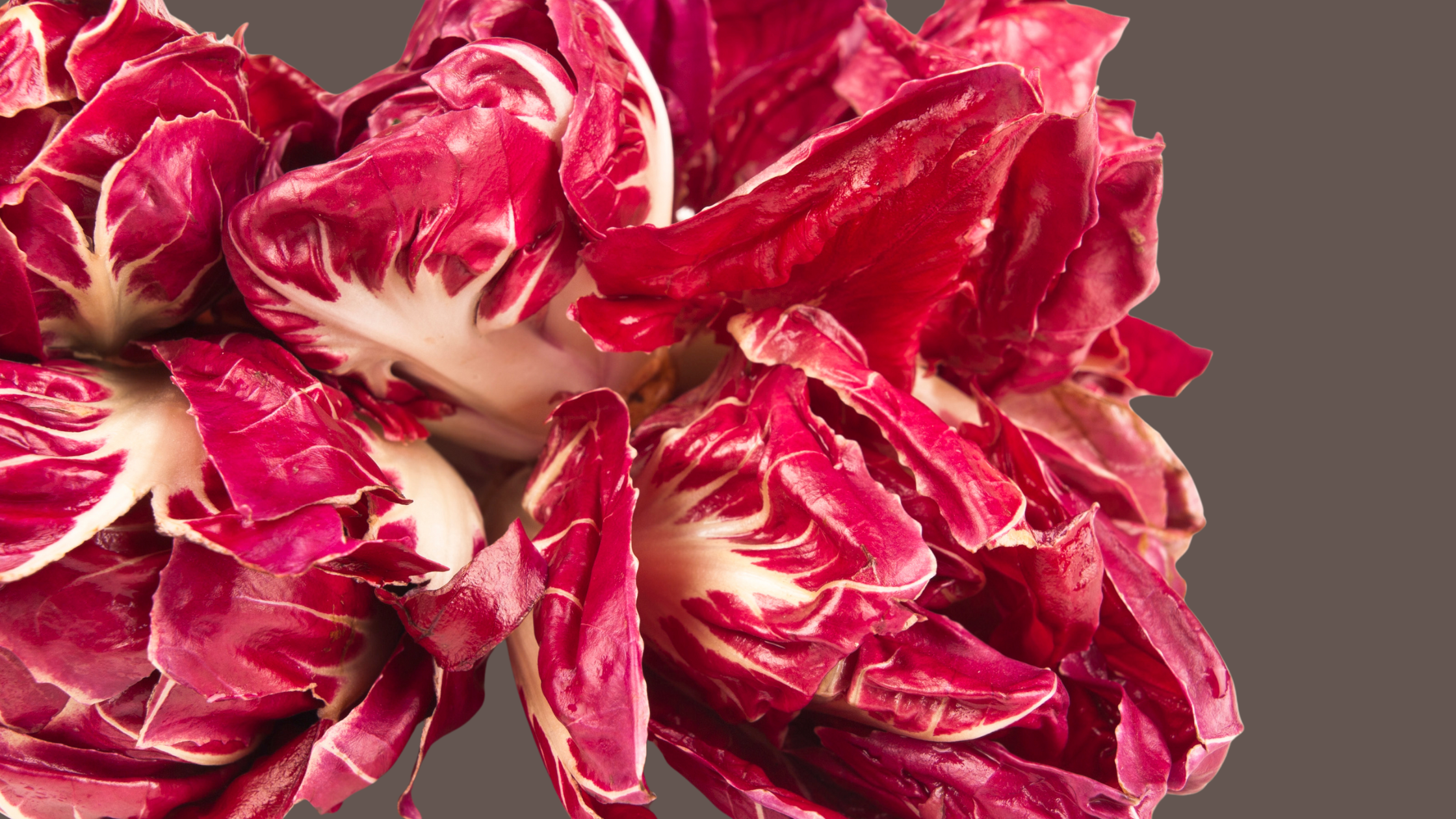 Warm Radicchio & Fennel Salad with Citrus–Dijon Dressing – Stratum ...